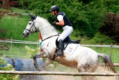 ¿Usas correctamente la fusta?: Lo que no puedes dejar de saber ...